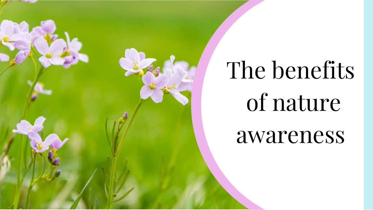 What are the benefits of nature awareness? - My Nature Nook