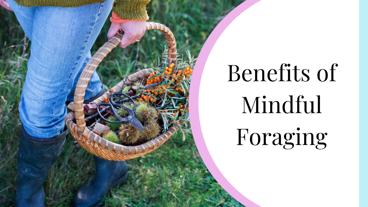 The Benefits Of Mindful Foraging - My Nature Nook