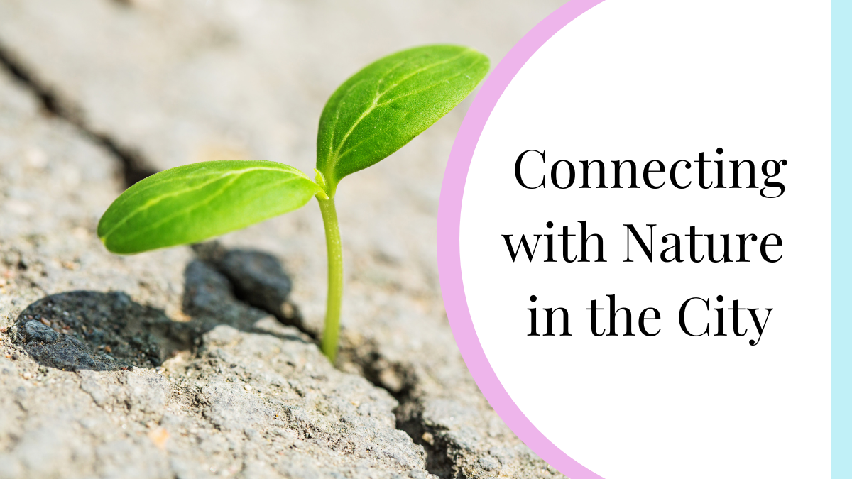 Mindful Nature Activities for Connecting with Nature in the City