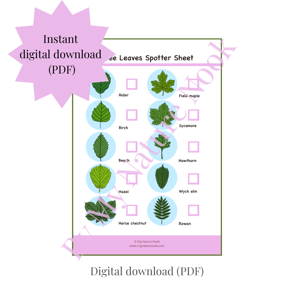 Tree Leaves Spotter Sheet (PDF) - My Nature Nook