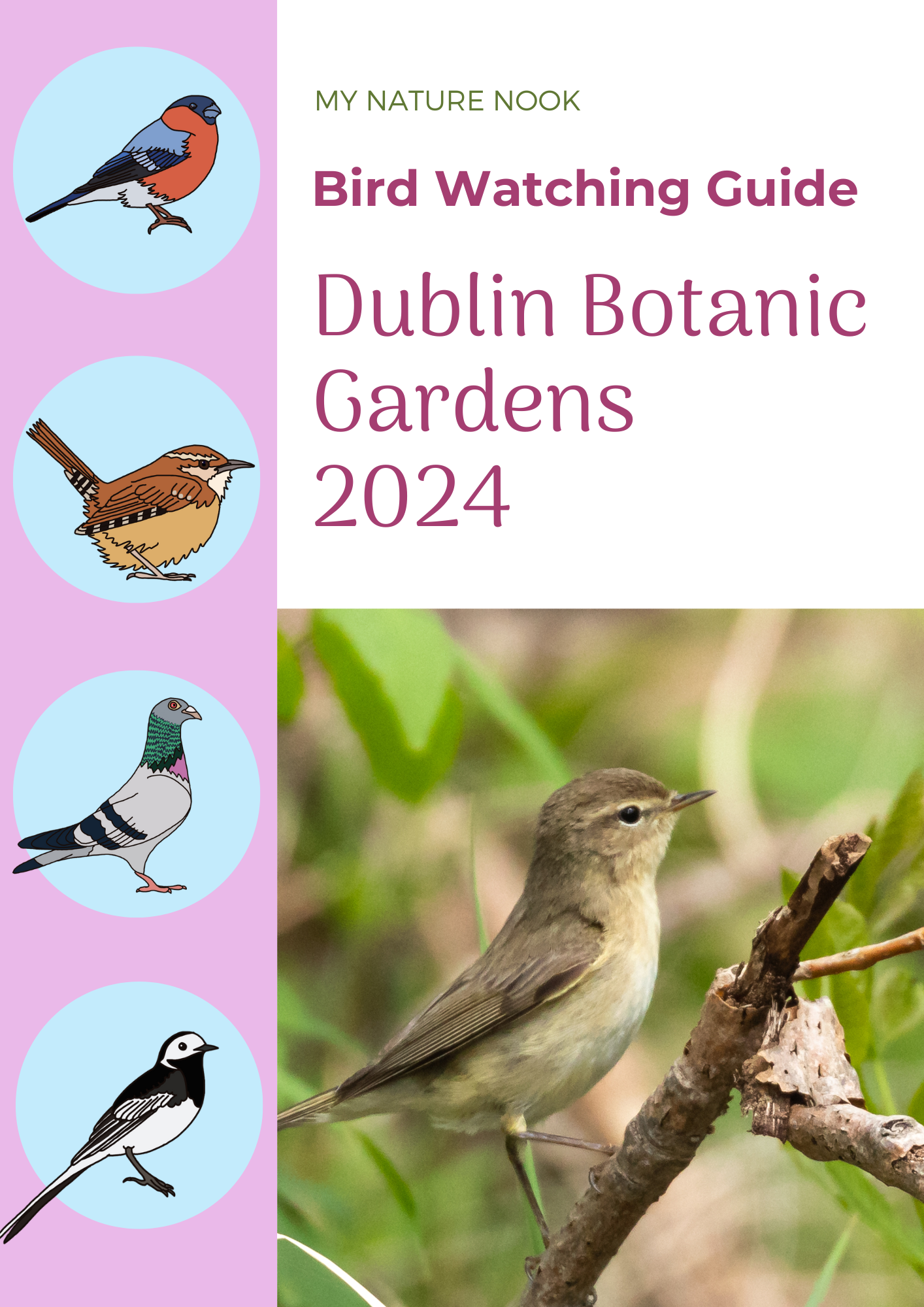 Botanic Gardens Dublin (Bird Watching) - My Nature Nook