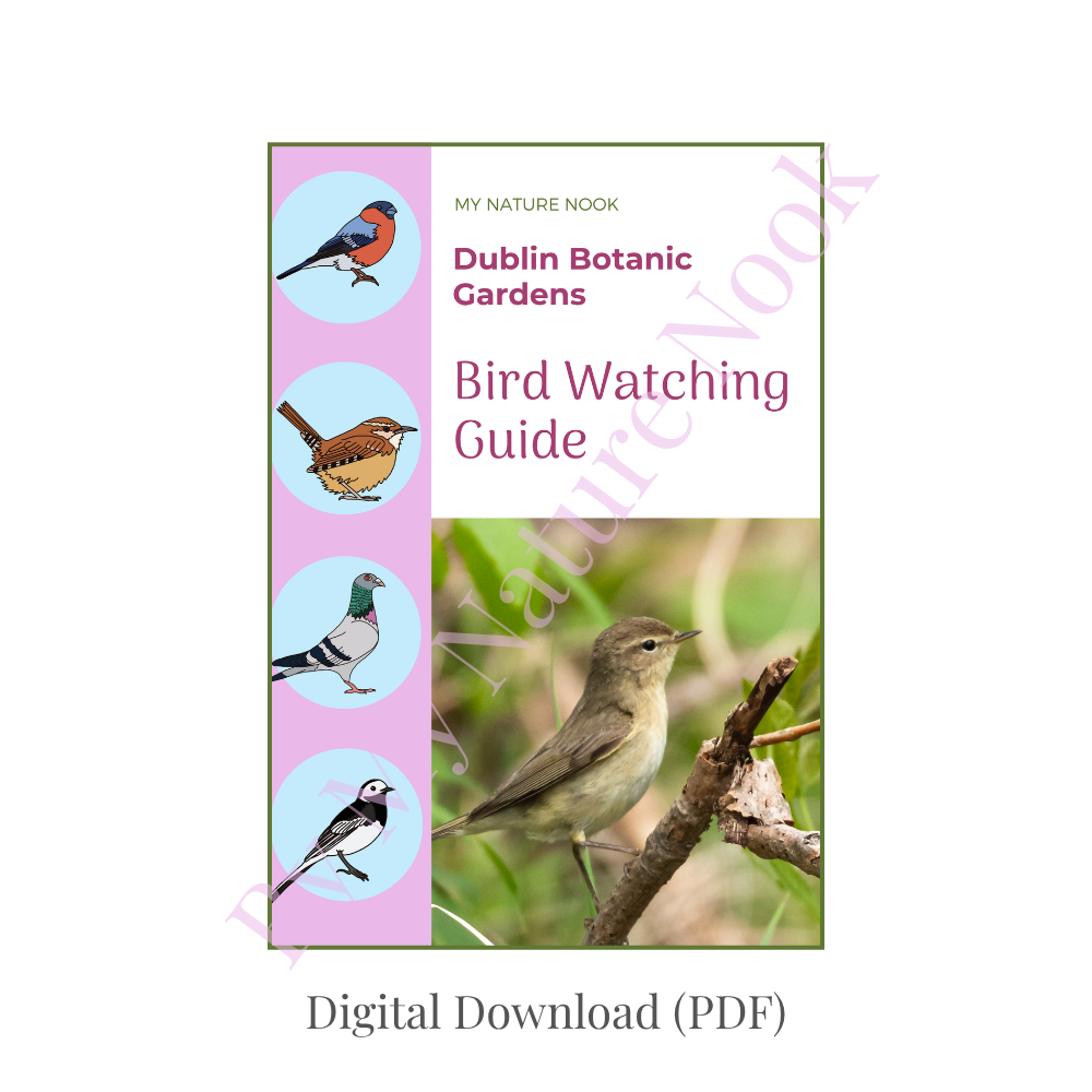 Bird Watching Workbook (PDF) - My Nature Nook