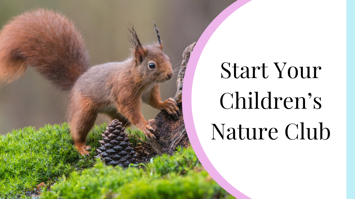 How To Start A Children's Nature Club